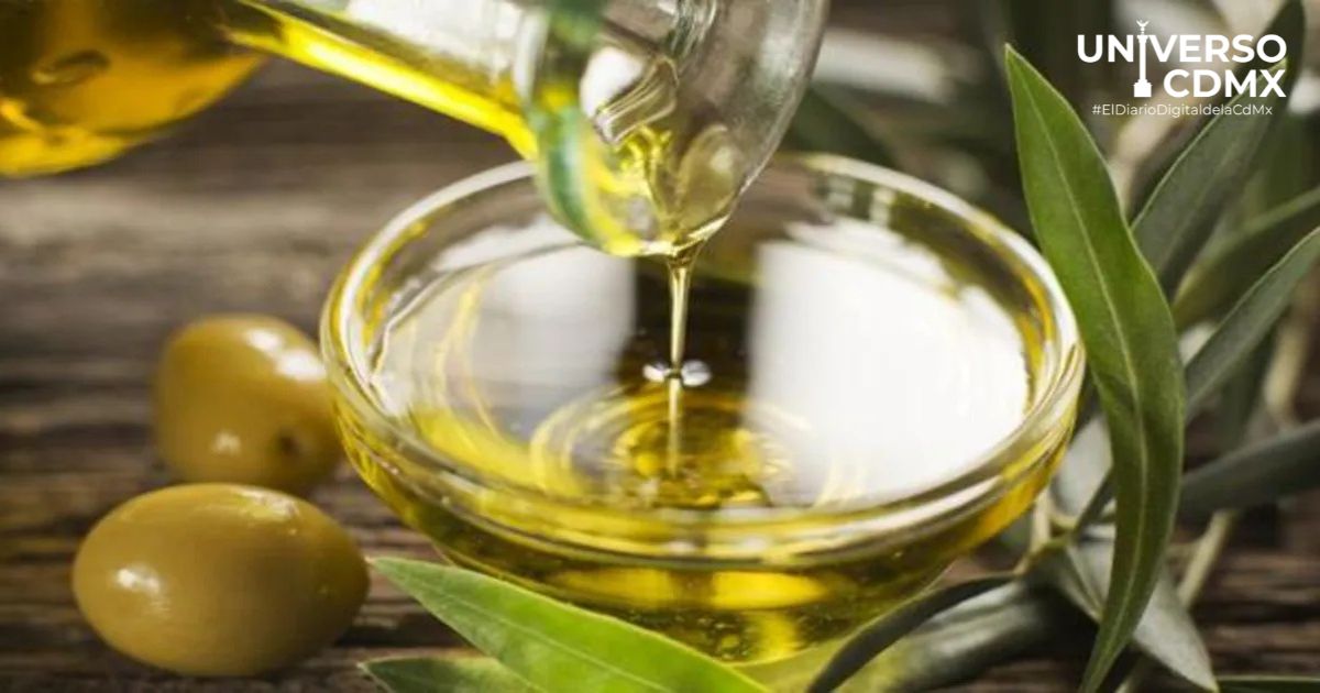 Aceite De Palma Vinculado A La Esclerosis Múltiple: Expertos Advierten ...