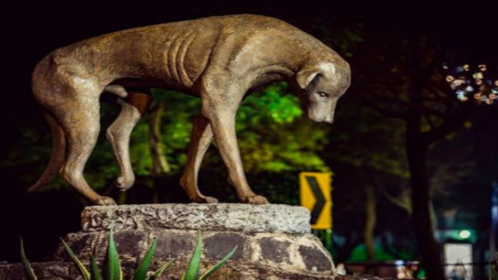 La Inspiradora Historia De «Peluso»: Un Monumento Al Amor Canino En La ...