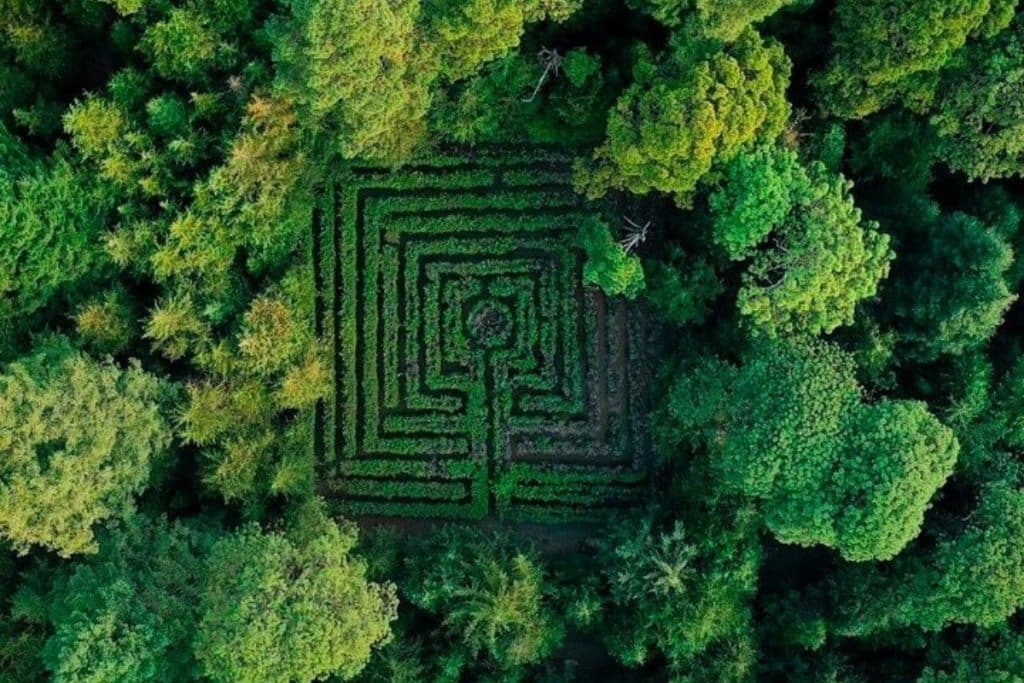Parque Ejidal De San Nicolás Totolapan: Un Pulmón Verde De 2,000 ...